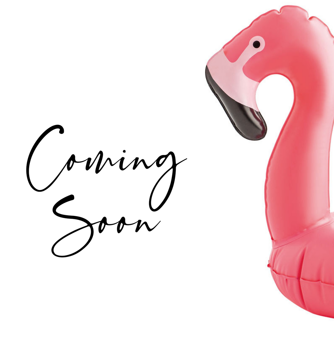 Flamingo Box Co. – Opening soon